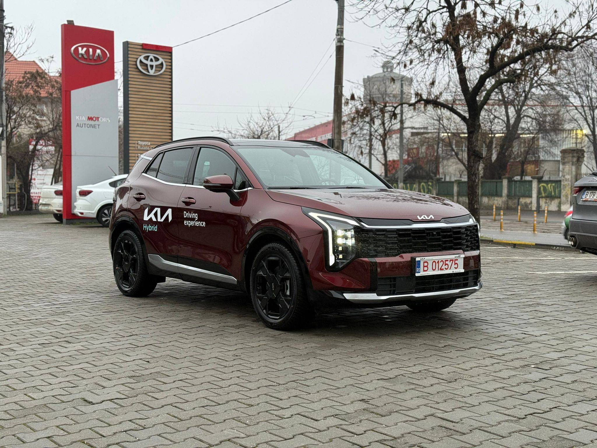 Sportage PE 1.6 T-GDI HEV 6AT 239 CP 4x4 Business Line - Autonet Kia